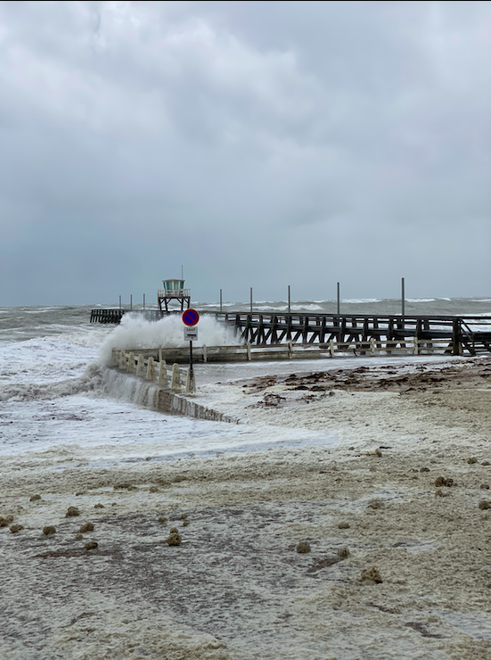 Actualités | Luc Yacht Club - Ecole de voile et d'environnement ...